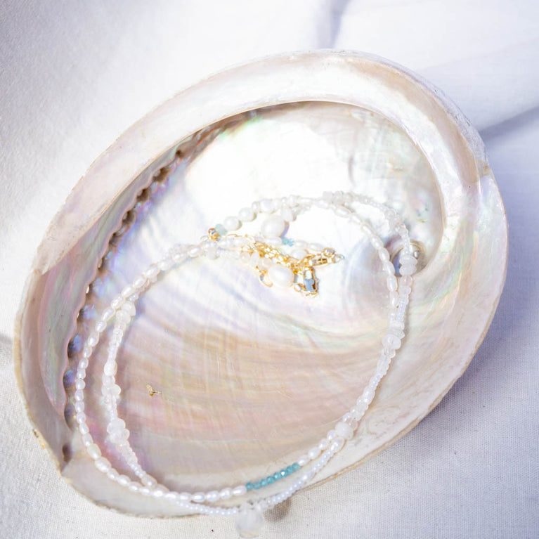 Abalone Shell White Western Australia – Northern Sky