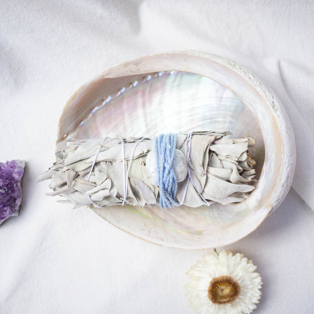 Abalone Shell White Western Australia – Northern Sky