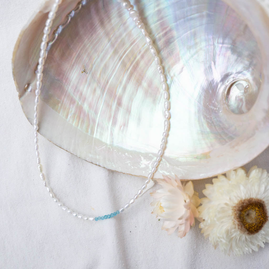 Abalone Shell White Western Australia – Northern Sky