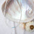 Abalone Shell White Western Australia – Northern Sky